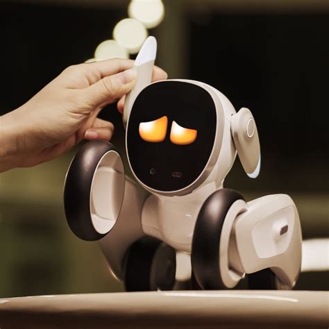 Умный робот-питомец. PetBot Loona Smart Robot купить в Москве по ...
