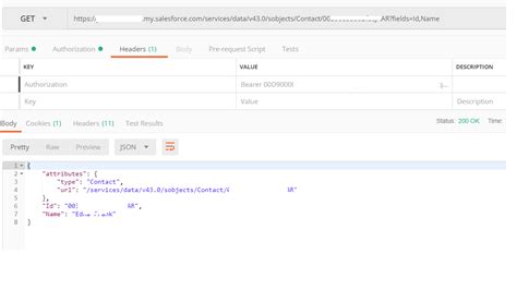 Oauth2 Query Contact Using Metadata Api From Soapui Or Postman