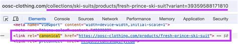 a complete guide to canonical tags in seo