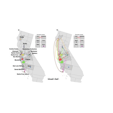 results from two bayesian clustering analyses identified 21 genetic