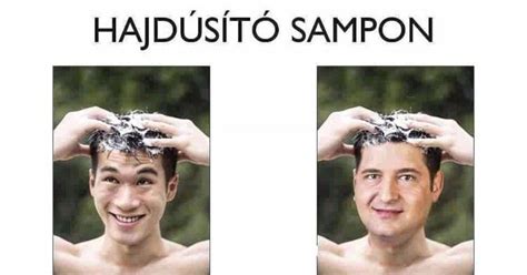 Hajdúsító Sampon Magyar Mémek
