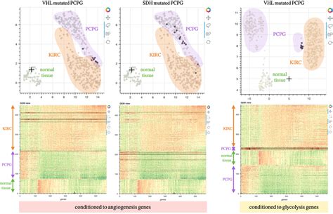 conditional analysis using the gem and the 2d sample view left two download scientific diagram