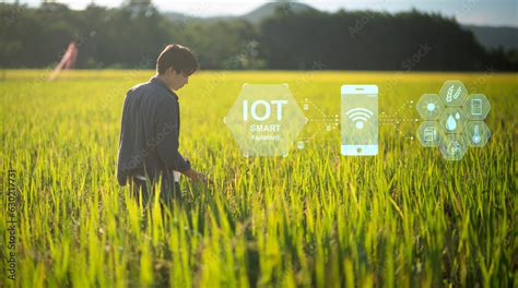 Smart Farming With IoT Rice Farming With Infographics Smart Agriculture And Precision