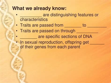 Dna Structure And Function Ppt Download