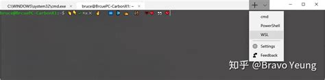 Windows下最漂亮的terminal Emulator是什么？ 知乎