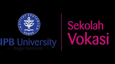 belajar crud bun dengan framework elysia js youtube