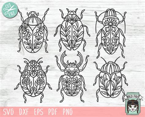 Bug Bundle Svg Bug Svg Files Beetle Svg Scarab Svg Bug Cut Etsy Hong Kong