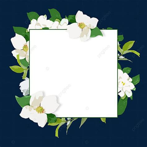 Jasmine Border Png Picture Jasmine Around The Border Creative Jasmine
