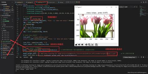 【深度学习 图像分类篇】一文全：pytorch搭建efficientne图像分类网络 Csdn博客