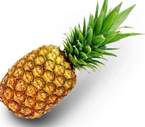 Pineapple Pi Pyramidscc