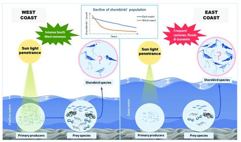 Ecosystem Components Environmental Variables And Population Trends In