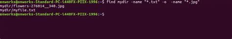 How To Recursively Find Files In Bash Delft Stack