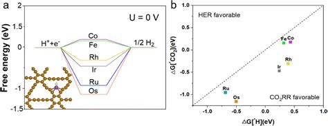 Rational Design Of Graphdiyne Based Single Atom Catalysts For