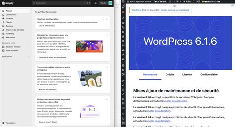 Shopify Wordpress Sur Le Même Site Une Bonne Idée En 2024 Wiiv Lagence De Marque
