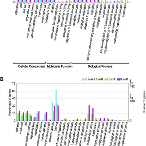 go enrichment analysis a go classification of degs based on the