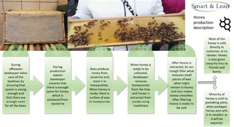 A Simple Flowchart Of The Honey Value Chain Download Scientific Diagram