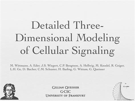 Ppt Detailed Three Dimensional Modeling Of Cellular Signaling M