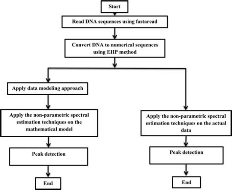 Block Diagram Of The Proposed Algorithm Download Scientific Diagram