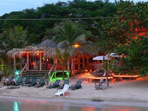 Best Bars In West End Roatan You Need To Try