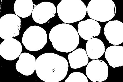 Mushroom Segmentation The Craft Of Coding