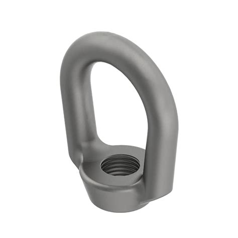 Forged Weldless Eye Nut Anchorage Group Pipe Supports