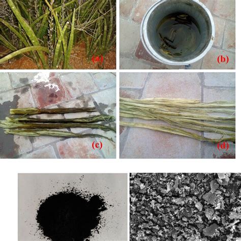 A Tga Graph Of The Prepared Samples B Dta Graph Of The Prepared Samples Download Scientific