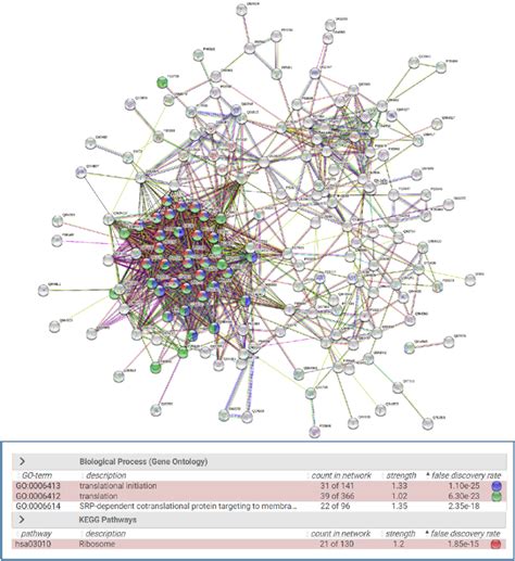 String Bioinformatics Analysis Of The Down Regulated Proteins In Oxldl