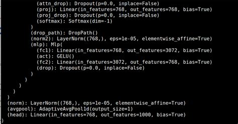 How Can I Ignore Thoes Layers Vision Pytorch Forums
