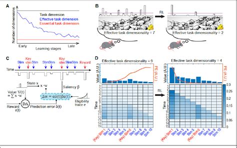 Figure 1 From Ramping And Phasic Dopamine Activity Accounts For Efficient Cognitive Resource