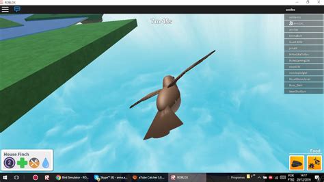 Roblox Bird Simulator Youtube
