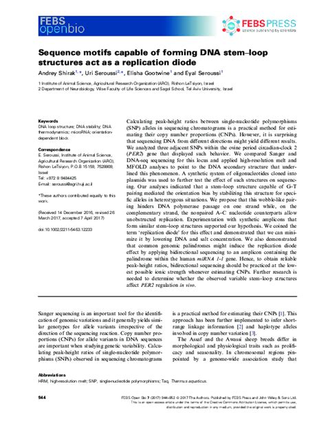 sequence motifs capable of forming dna stem loop structures act as a