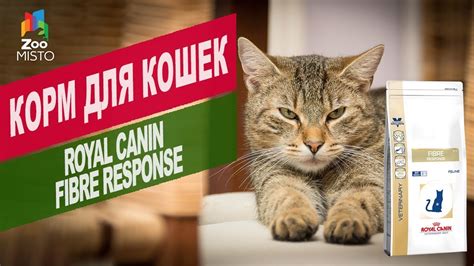 Корм для кошек Royal Canin Fibre response | Обзор корм для кошек Royal ...