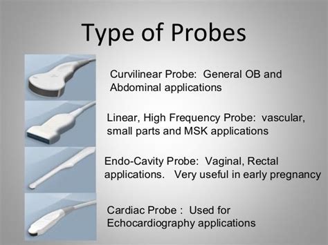Curvilinear Probe Ultrasound
