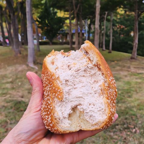 연세우유 마롱생크림빵 가을의 맛을 담은 Cu 편의점 신상 네이버 블로그