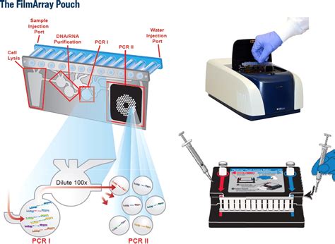 Clinlab Navigator Respiratory Virus Detection By Pcr