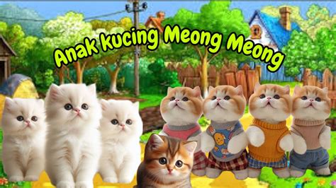 Kucing Oyen Ngambek Bikin Ngakak😹ANAK KUCING MEONG MEONG‼️FUNNY KITTEN ...