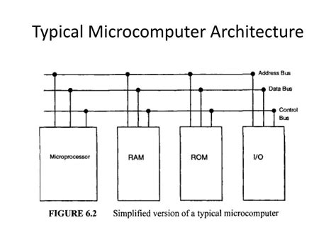 Ppt Lecture 8 Powerpoint Presentation Free Download Id2684350