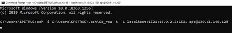 connect sql developer to oracle cloud databases in private subnets