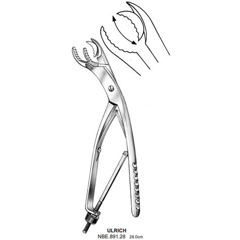 Lowman Norfolk International
