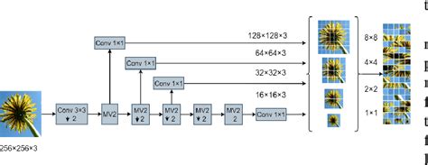 Figure 3 From Using Cnn To Improve The Performance Of The Light Weight Vit Semantic Scholar