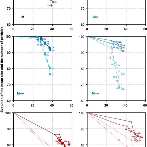 Saccharification Of Maize Shoot Fractions In The Reactor Cinetore