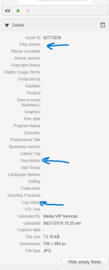 annotating interview videos cultivate learning multimedia annotation