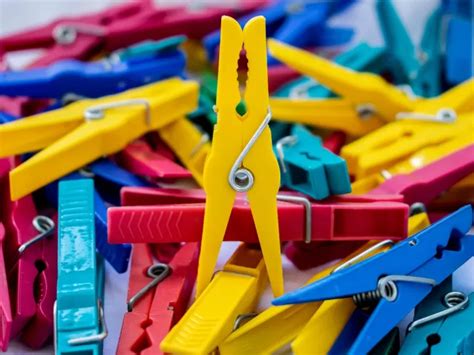 Pinzas Pelo Ses Vinyes