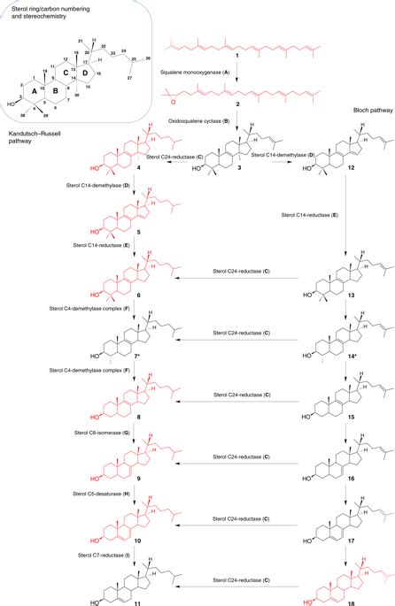 A Gas Chromatographymass Spectrometry Based Whole Cell Screening Assay