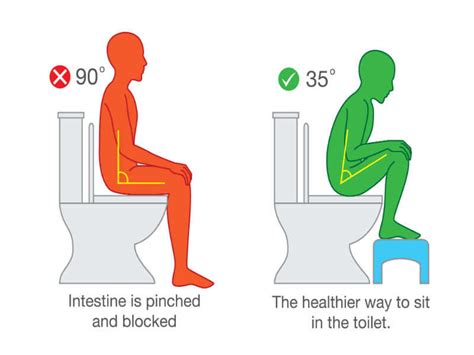 How To Use Toilet Seat Properly Velcromag