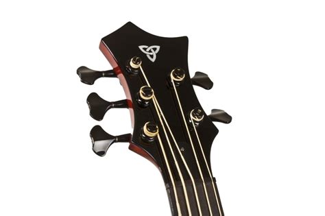Build Your Own 5 String Archtop Fretless Bass Bailey Guitars