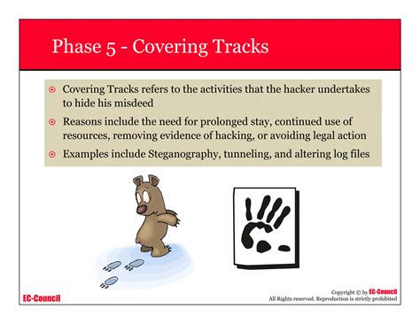 Ceh V5 Module 01 Introduction To Ethical Hacking Pdf Information And Network Security