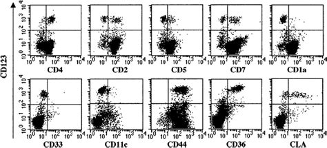 Profile Of Cd123 Hi Dc As Shown By Double Staining Of Thymic Lin
