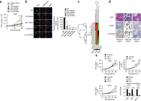Functional Consequences Of Genetic Alterations In Kdm6a Tp53 Pi3k And Download Scientific