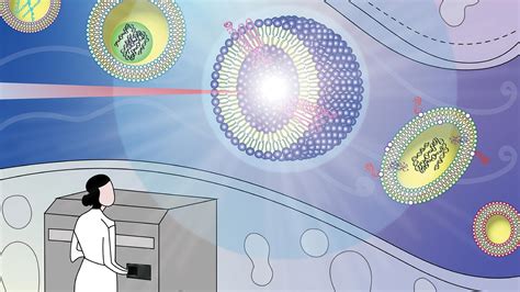 The Danelon Lab Proposes New Methods To Help Construct Synthetic Cells